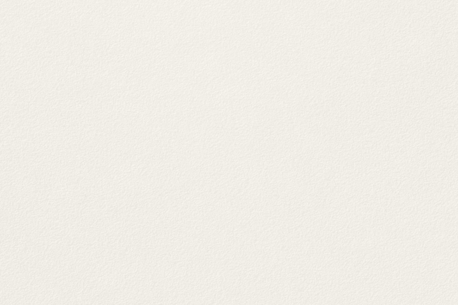 Brands – BMT THAILAND